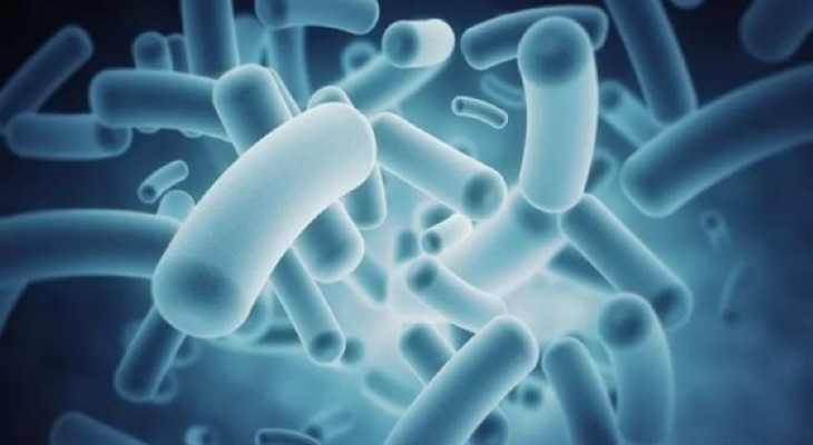 Can Your Gut Microbiome Predict Hypertension Risk Before Symptoms ...