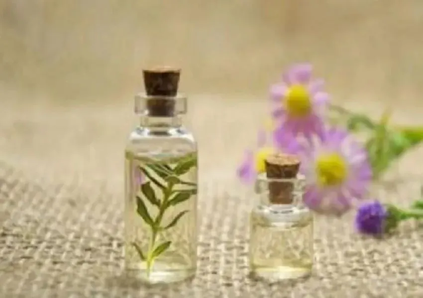 The Benefits Of Essential Oils - BW Wellbeing World