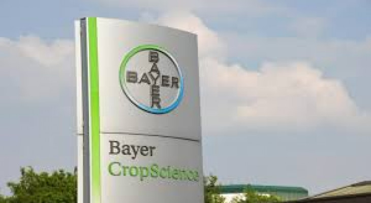 Bayer CropScience Reports Q1 FY 2024-25 Results, Revenue At Rs 16,312 ...