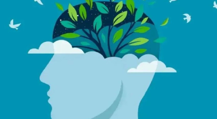 The Algorithmic Mind: Applying Systems Thinking To Mental And Emotional ...