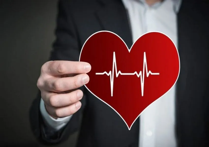 The Connection Between Heart Health And The Brain - BW Healthcare World