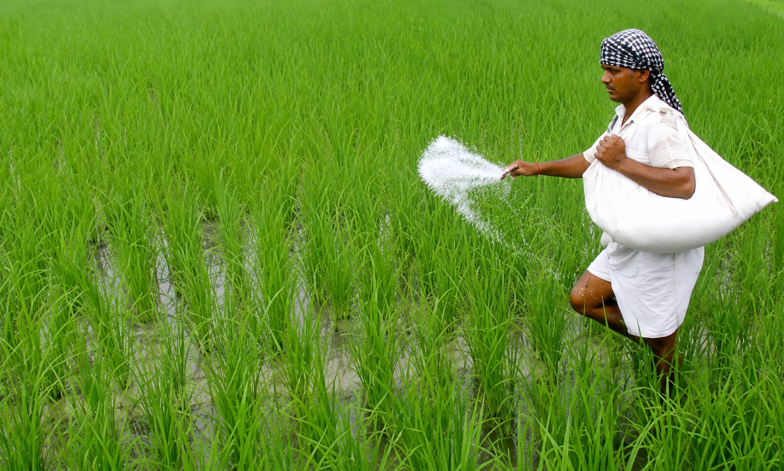 Direct Selling Turnover Tops Rs 23,000 Cr As Women's Participation ...