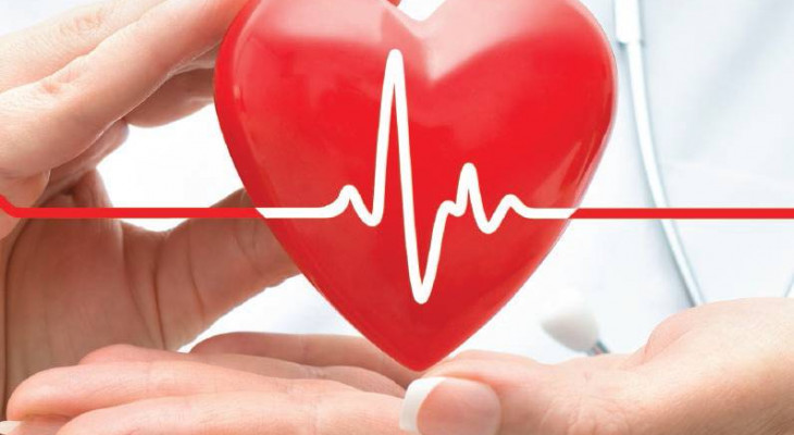 Fixing The Leaky Heart: How MitraClip And TriClip Are Changing Valve ...