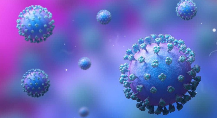 How Dangerous Is The HMPV Virus? A Complete Guide - BW Healthcare World