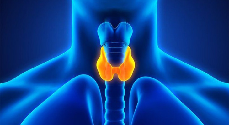 How Thyroid Affects Fertility - BW Healthcare World