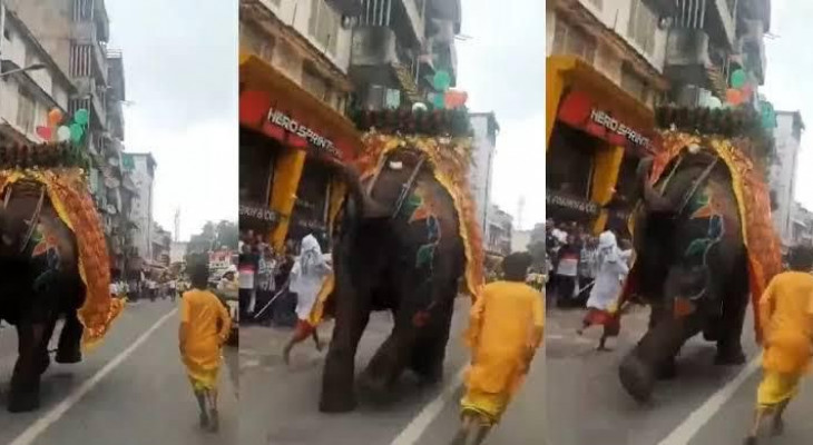 Elephants Run Amok During Ahmedabad Rath Yatra, Viral Video Sparks ...