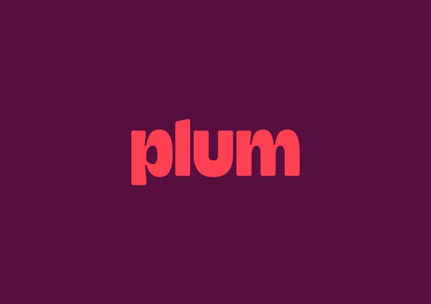Plum Expands Into Personal Insurance With $6 Mn Investment - BW ...