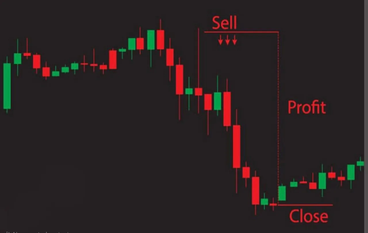 U.S.-Based Short Sellers Stir Chaos in Indian Markets with Targeted ...