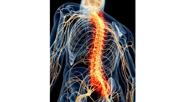 Complications Of Limited Mobility In Spinal Cord Injury Patients - BW ...