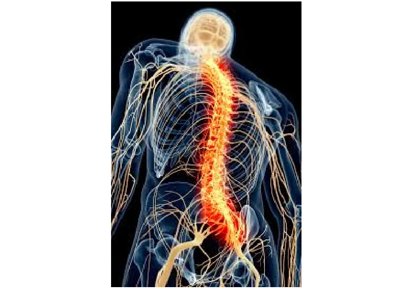 Complications Of Limited Mobility In Spinal Cord Injury Patients - BW ...