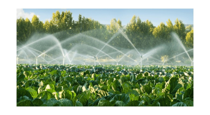 RM Drip To Add 12,000 Tonne Capacity With New Maharashtra Unit - BW ...