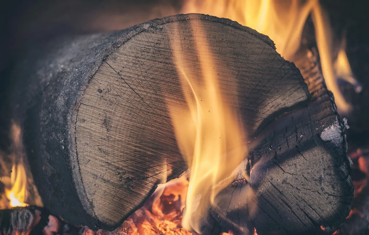 Stubble Burning Far Higher Than Official Count, New Study Reveals - BW ...