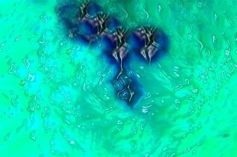 ‘Olo' A Colour You Must See - BW Businessworld