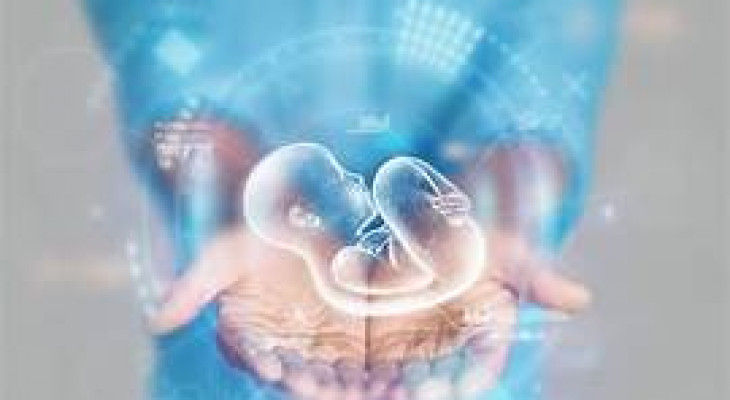 How AI In Embryo Selection Is Revolutionising IVF Success Rates - BW ...