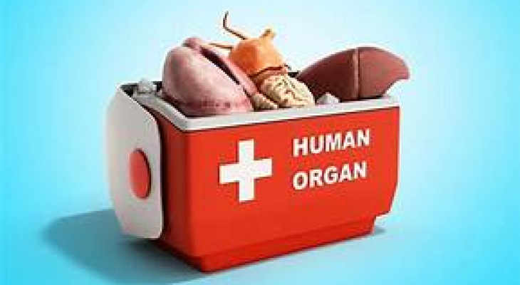 Advances & Challenges In Organ Transplantation - BW Healthcare World