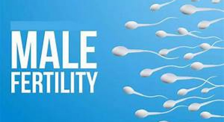 How To Know If You Need A Male Fertility Check - BW Healthcare World