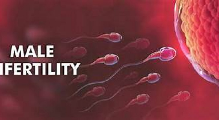 Advances In Genetic Testing &Treatment For Male Infertility - BW ...