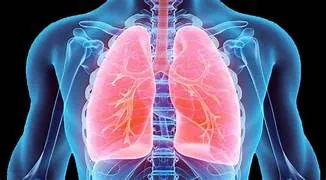 Cold Air & Lung Health: Why Breathing Problems Spike In Winter - BW ...