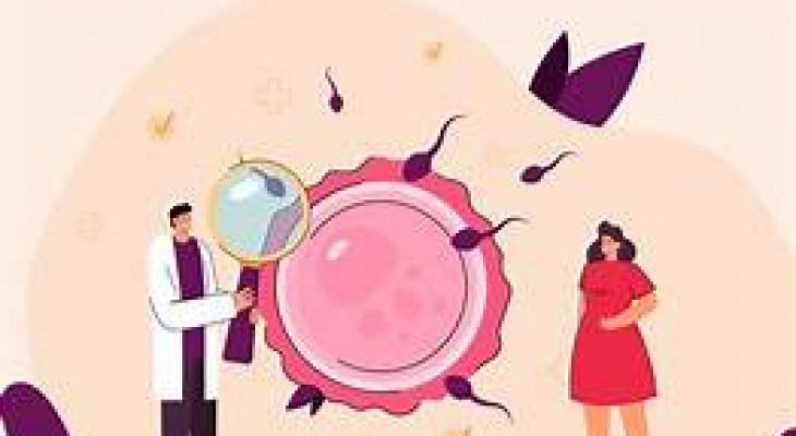 Rising Infertility Rates In Women: Understanding The Causes ...