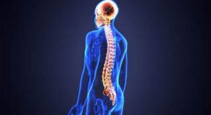 How To Keep Your Spine Healthy - BW Healthcare World