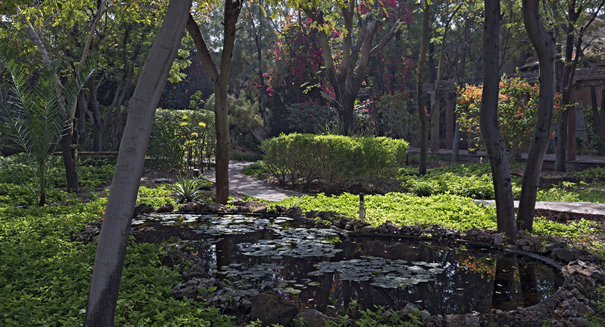 Manvar Resort introduces ‘Manvar Monsoon Desert Experience’ - BW Hotelier